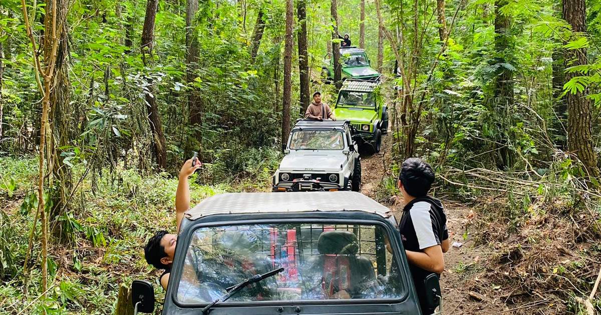 Hutan Pinus (Pine Forest) Kintamani Off Road Jeep Trail Day Tour - Klook